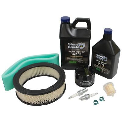 Engine Maintenance Kit for Vanguard V-Twin 12.5-21 HP Engines, Ethanol ...